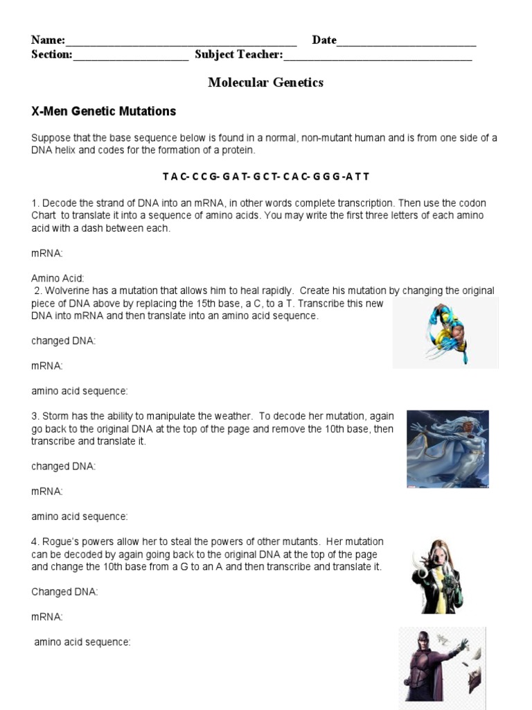 Types of Mutation Act | PDF