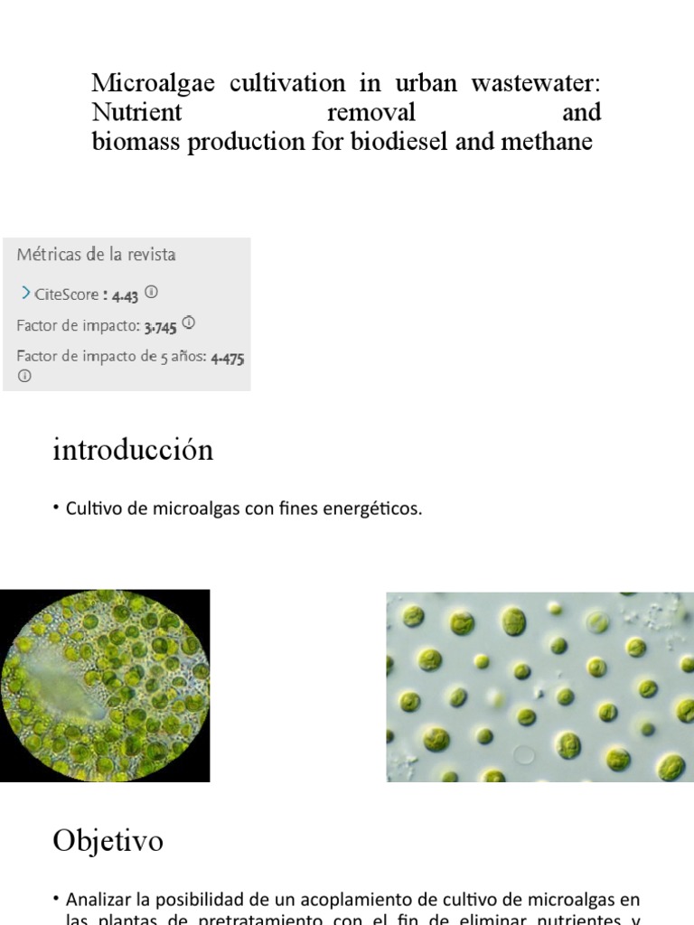 Microalgae Cultivation in Urban Wastewater | PDF