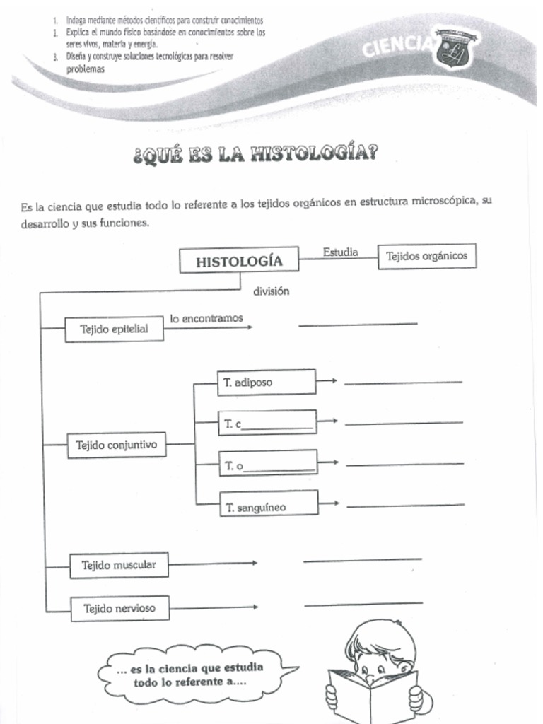 5TO GRADO CIENCIA Completo PDF | PDF