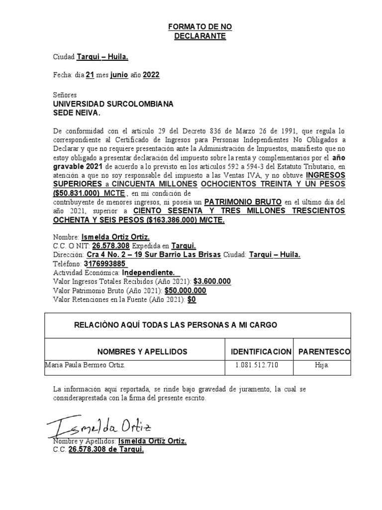 Formato Guía para No Declarante Año 2021 (1) - Repaired | PDF ...