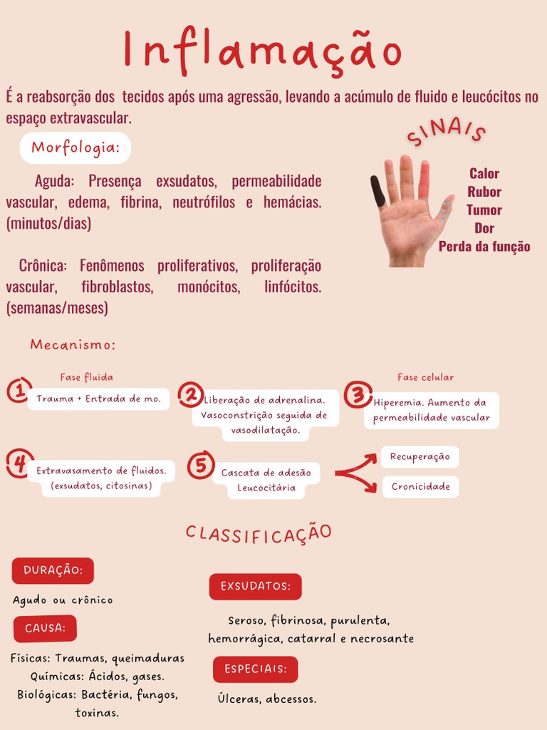 Inflamaçao | PDF