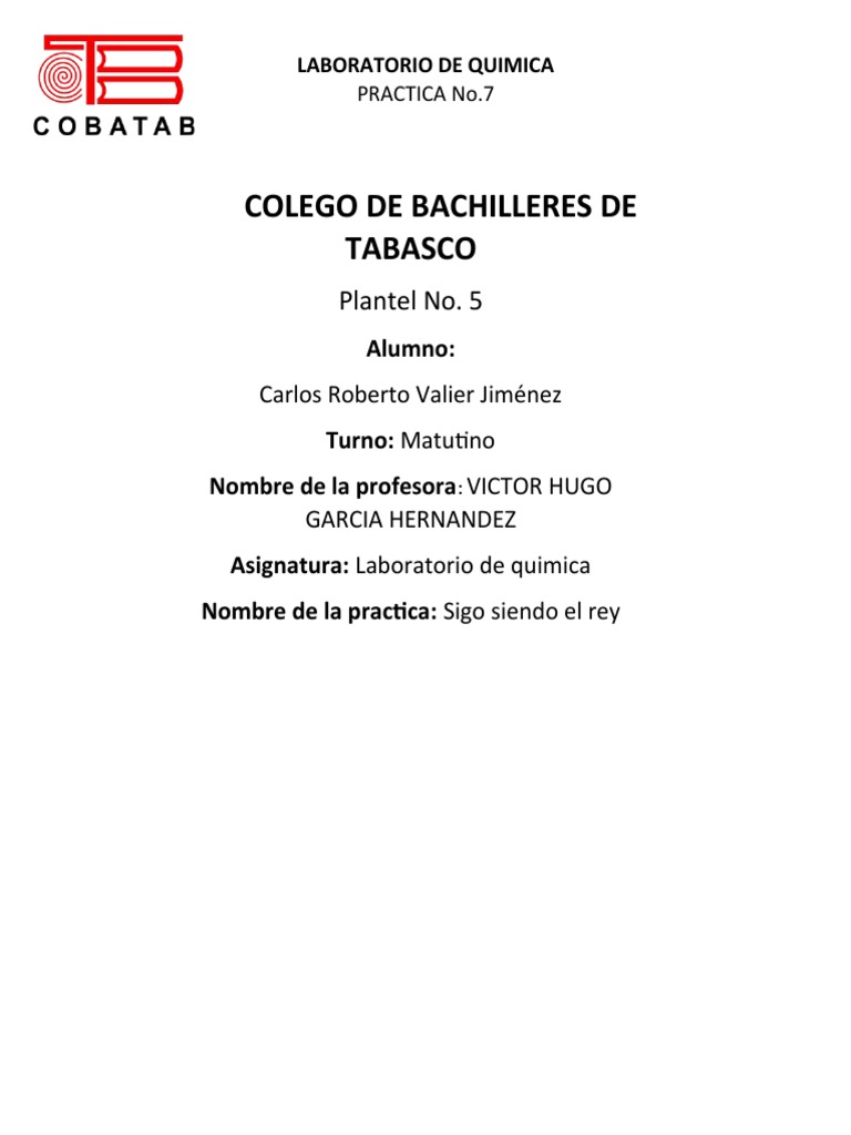 Practica De Laboratorio 7 Pdf Importar Química