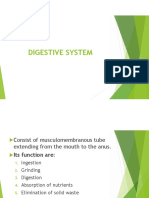 Bird Digestive System | PDF | Digestion | Gastrointestinal Tract
