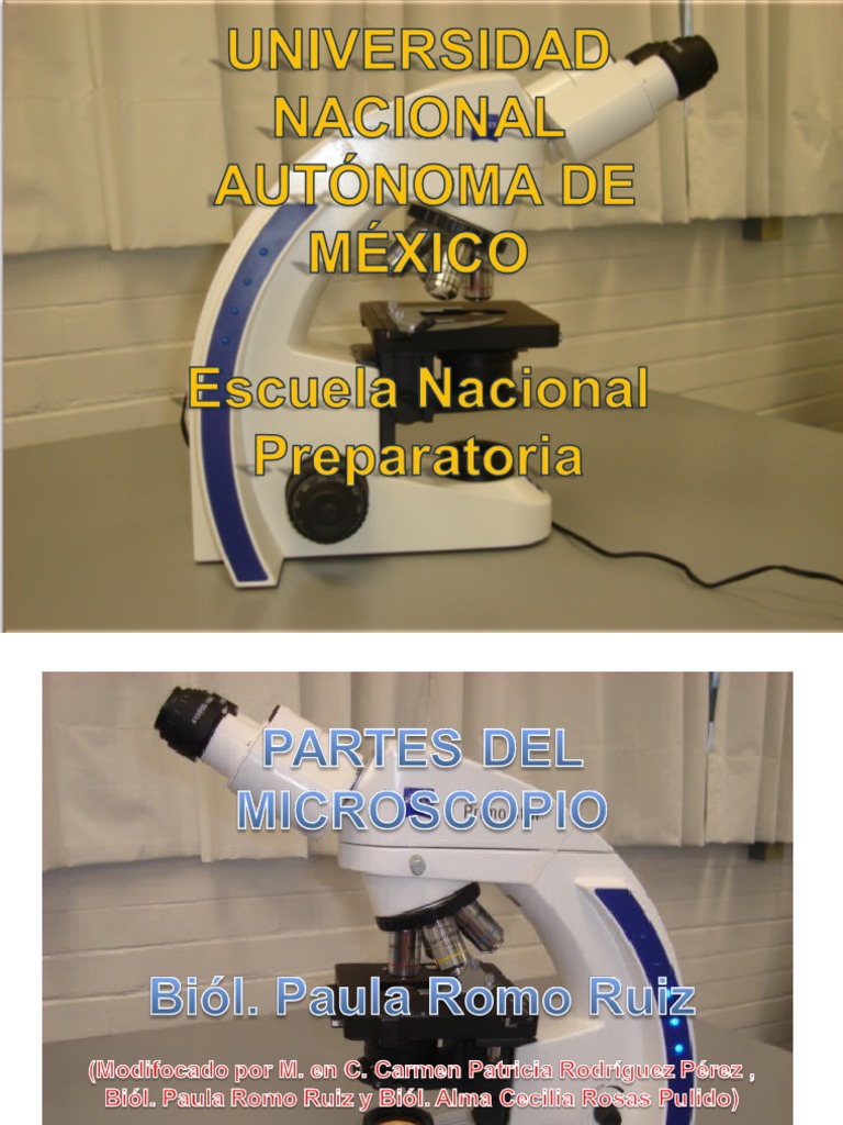 Partes Del Microscopio Compuesto | PDF | Óptica | Ligero