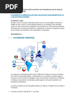 Pasos para la DAE en Ecuador | PDF | aduana