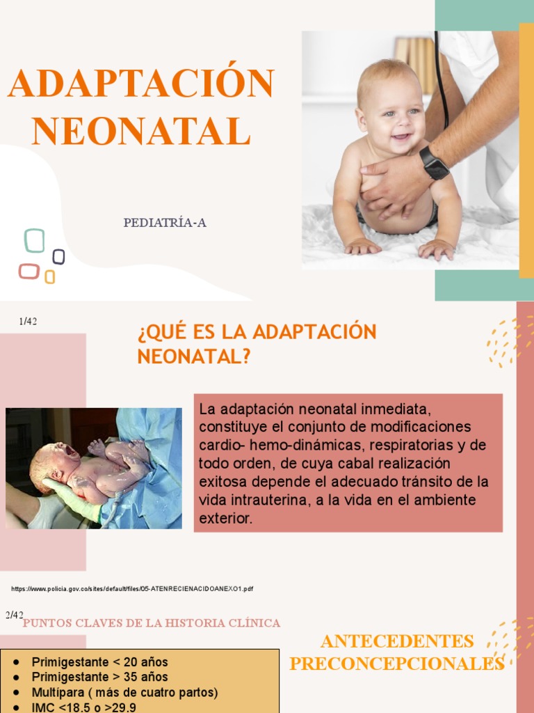 ADAPTACIÓN NEONATAL.pptx | PDF | Parto | Placenta
