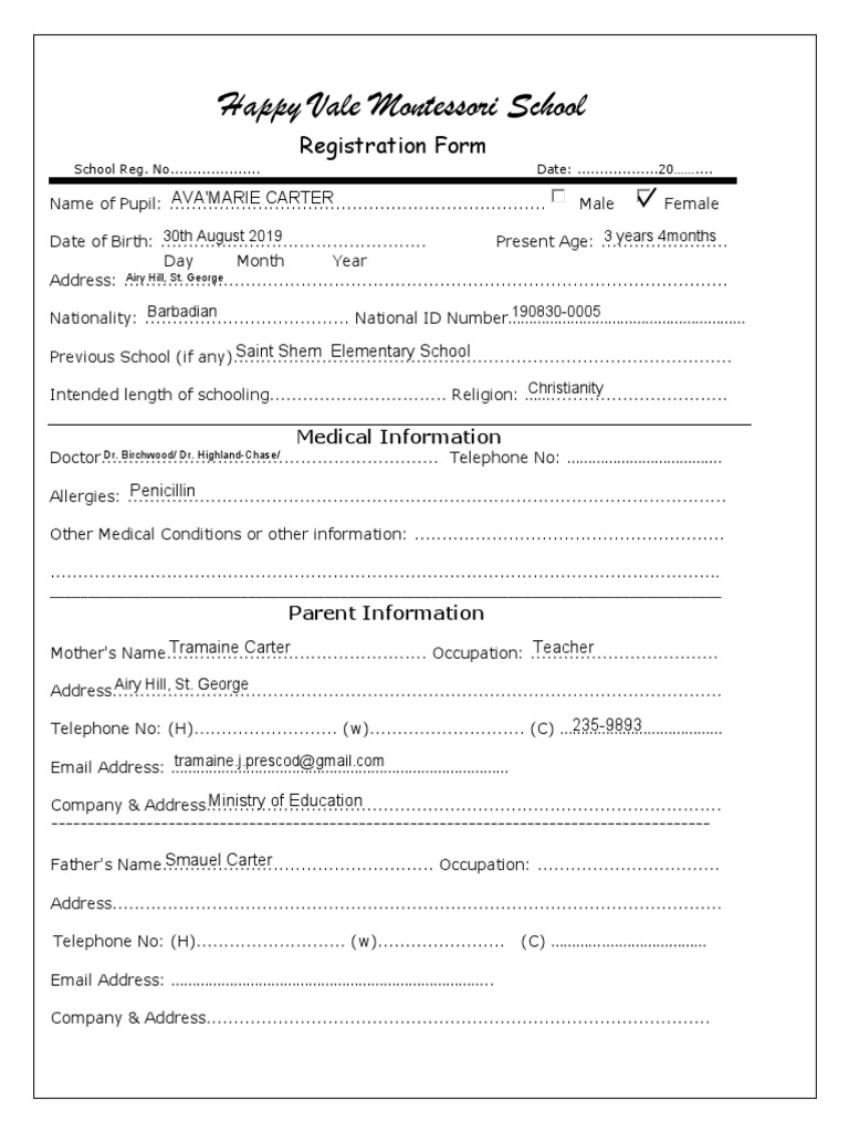 Registration Form - Happy Vale Montessori School Completed PDF | PDF