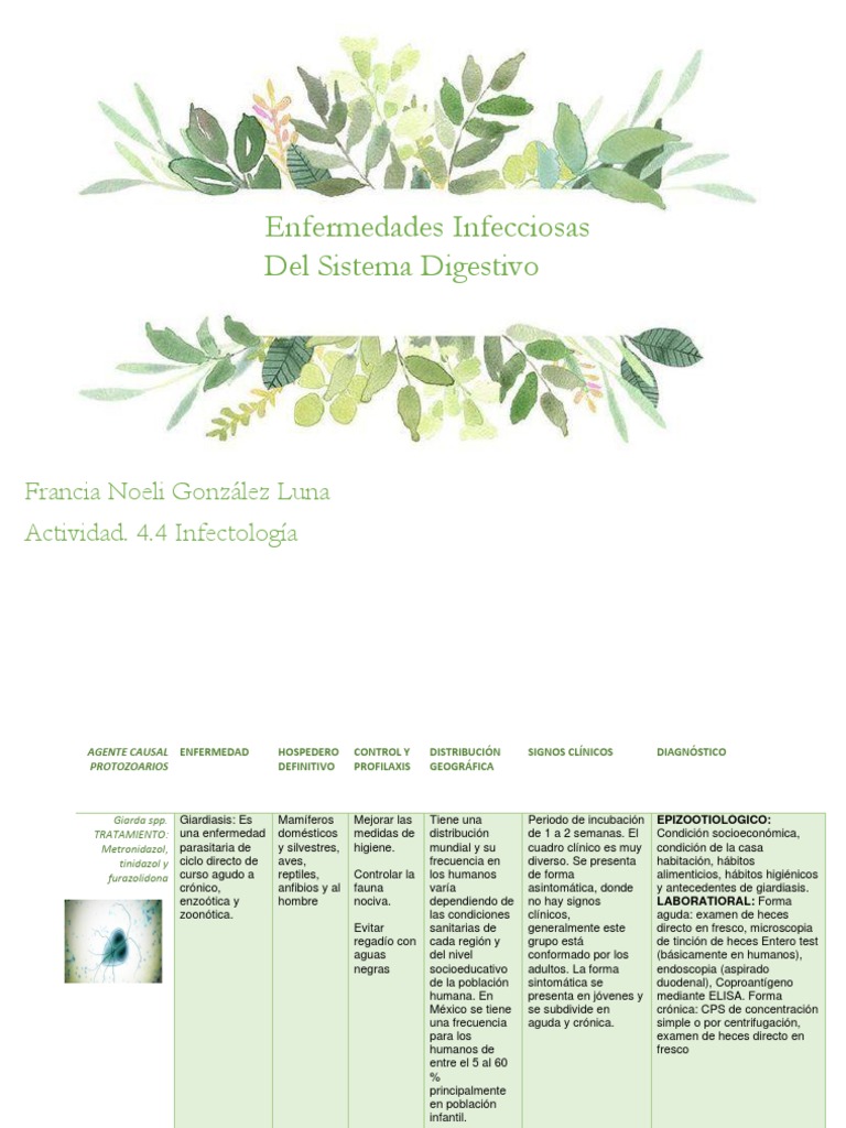Enfermedades Infecciosas Del Sistema Digestivo Act. 4.4 PDF | PDF | Enfermedades y trastornos ...
