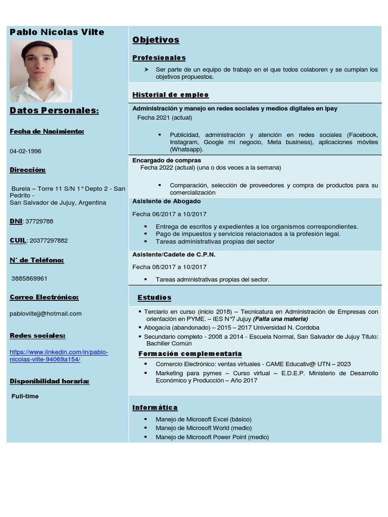 CV Pablo Nicolas Vilte | PDF | Pequeñas y medianas empresas | Microsoft