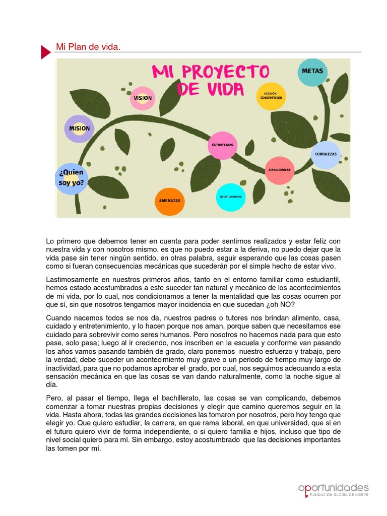 Mi Plan de Vida PDF | PDF | Objetivo | Análisis FODA