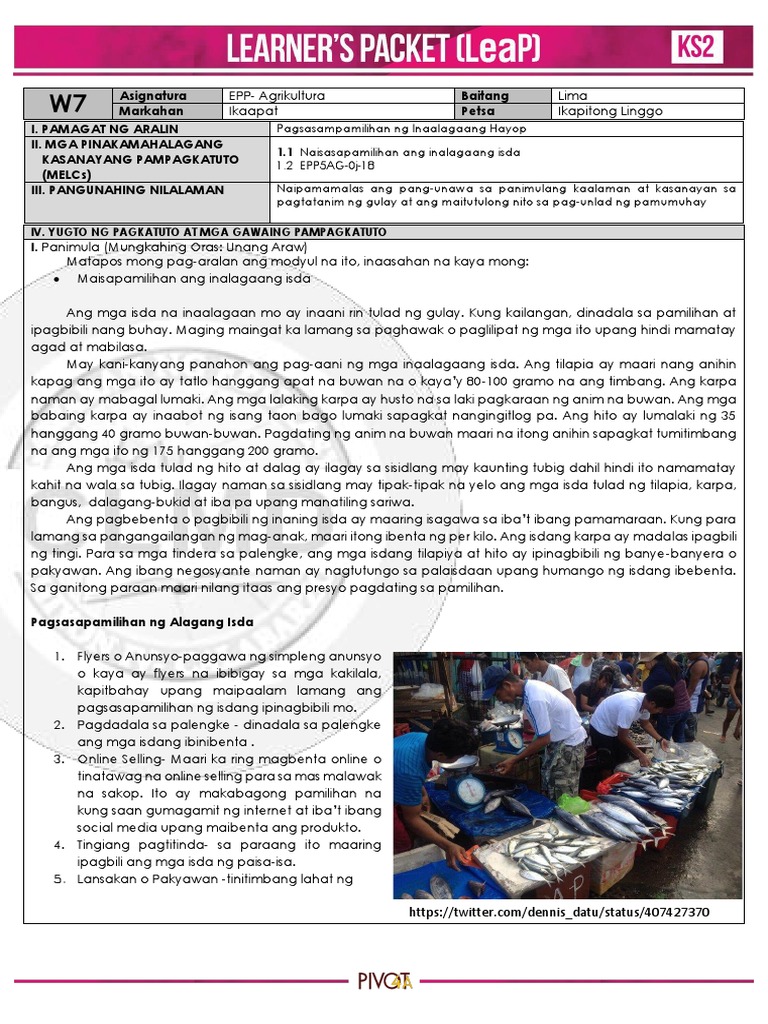 Q4 Elem AFA 5 Week7 PDF | PDF