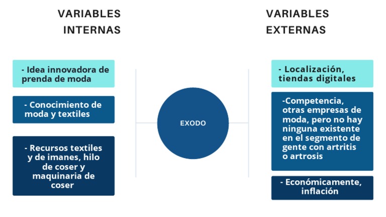 Variables Internas y Externas PDF | PDF