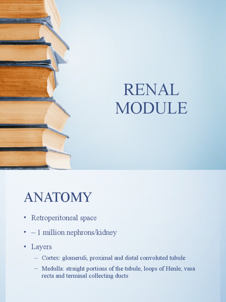01 Renal Module | PDF | Urinary Tract Infection | Urinary System