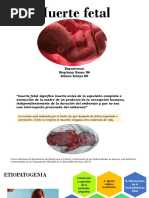 Fase de Expulsion y Maniobras Clinicas Del Trabajo de Parto | PDF ...