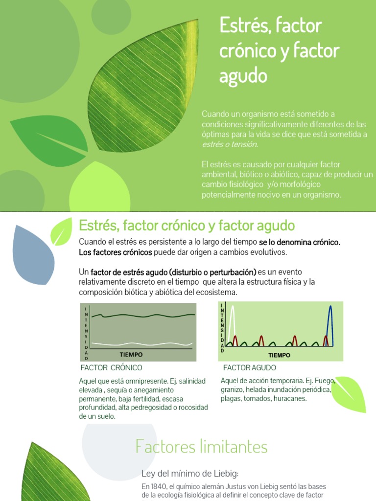 Factores Limitantes | PDF | Ecología | Entorno natural