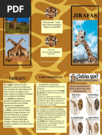 Historia de Las Jirafas | PDF | Evolución