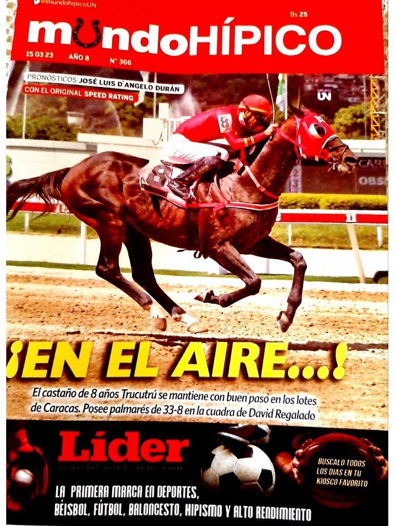 La Rinconada-1 PDF | PDF