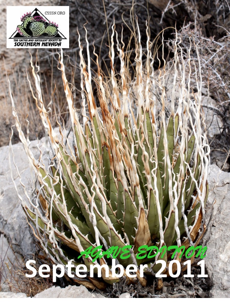 The Beaver Tale September 2011 | PDF | Plants | Botany