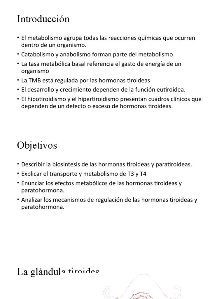 Tiroides | PDF | Tiroides | Hormona estimulante de la tiroides
