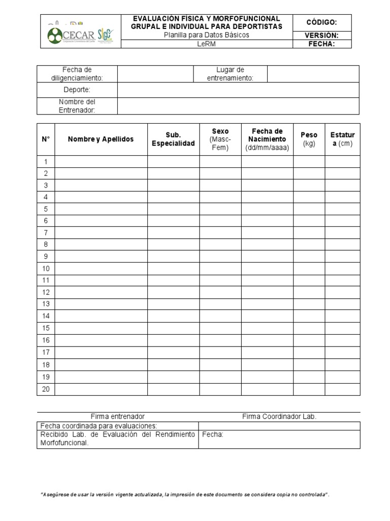 PLanilla datos básicos | PDF
