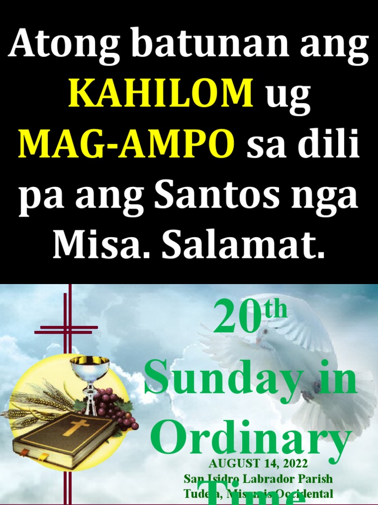 20th Sunday in Ordinary Time | PDF