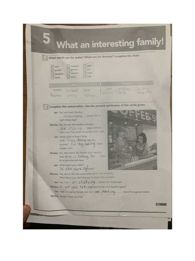 Ingles Workbook 5 - 6 | PDF