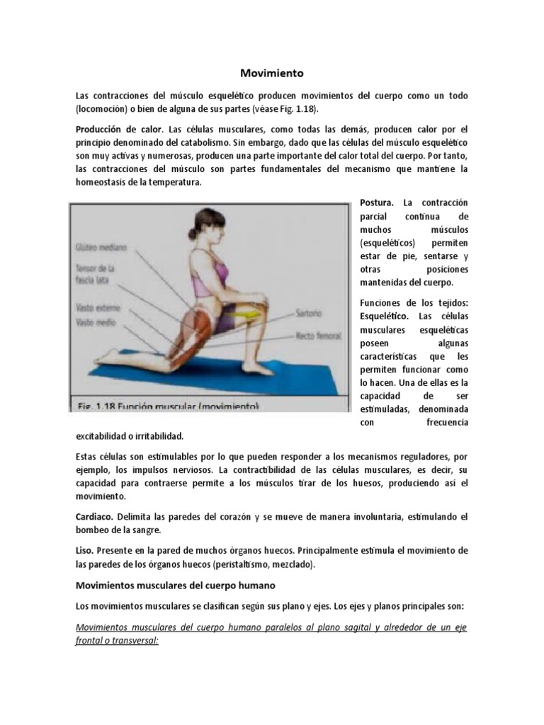 Tema Movimiento Muscular, Nombres, Propiedades y Composicion | PDF ...