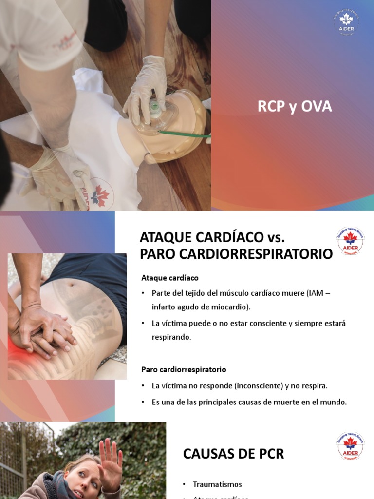 Identificación y RCP en Paro Cardiorrespiratorio | PDF | Reanimación ...
