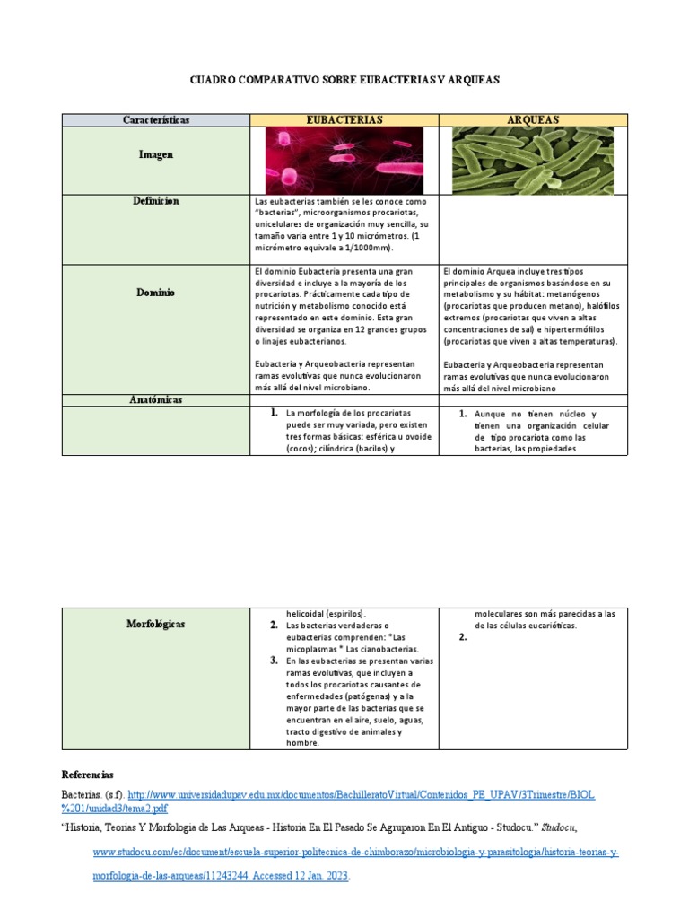 Cuadro Comparativo Sobre Eubacterias y Arqueas | PDF | Las bacterias ...