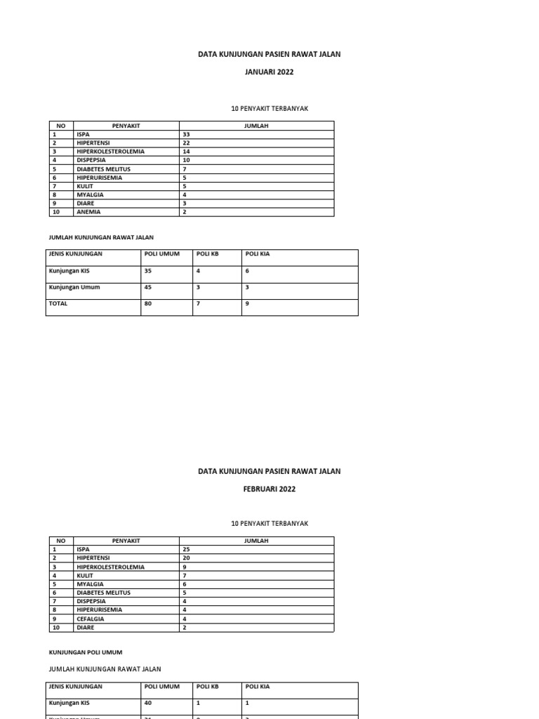 Data Kunjungan Pasien Jan-Des 2022 | PDF