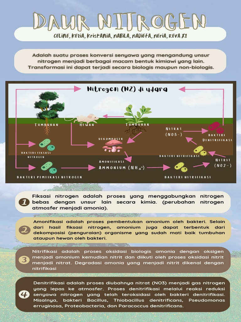 Siklus Nitrogen Geografi X | PDF