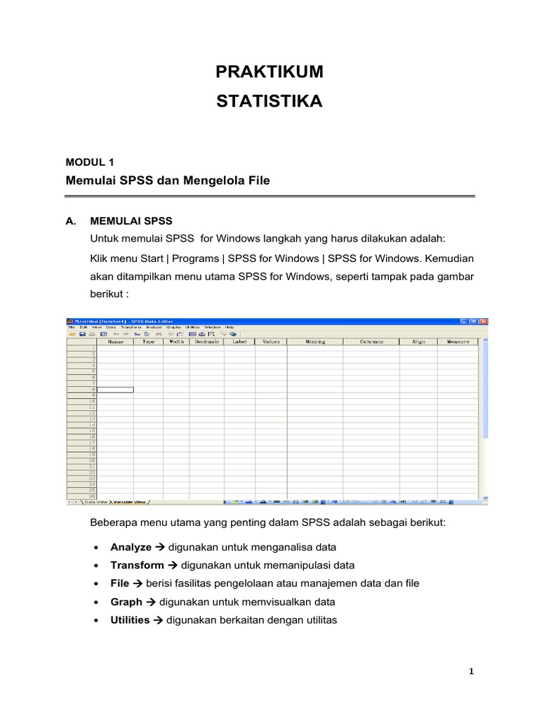 Panduan Praktikum SPSS: Modul Dasar dan Analisis Data | PDF | Metode & Bahan Ajar