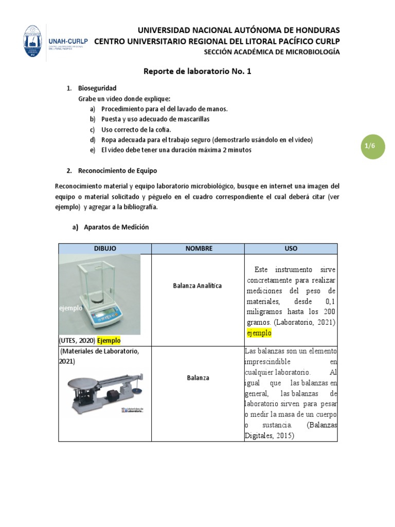 Reporte De Laboratorio No 1 Pdf Laboratorios Ph