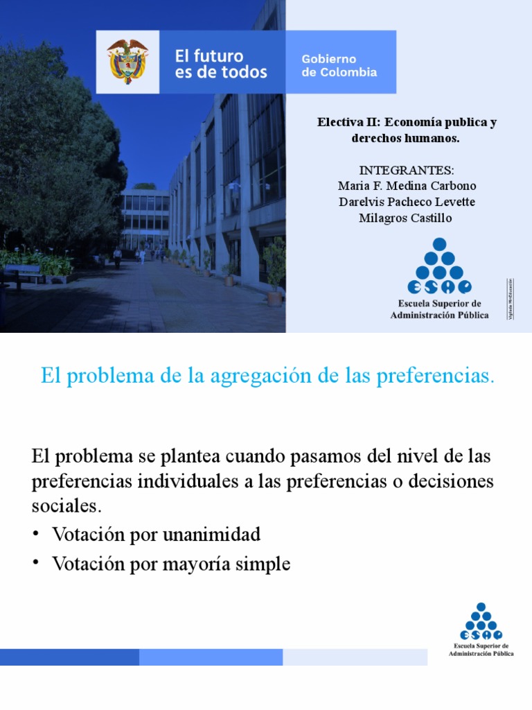 Exposicion Electiva 2 | PDF | Votación