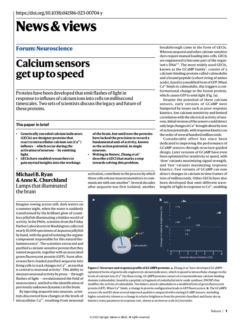 News & Views: Calcium Sensors Get Up To Speed | PDF | Calcium In ...