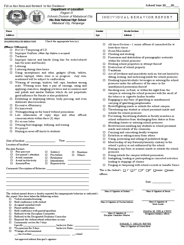 Final Individual Behavior Report | PDF | Fraternities And Sororities