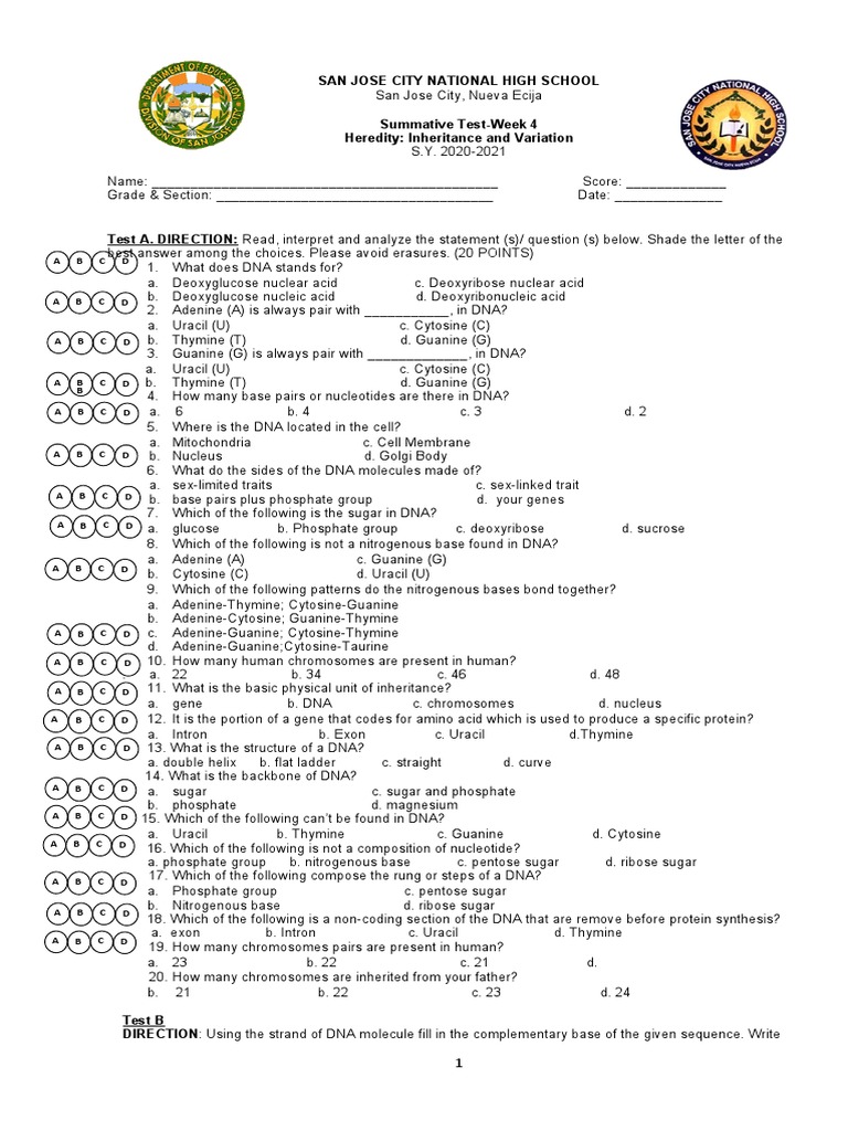 Grade 9 Science Summative Test Week 4 | PDF | Dna | Gene
