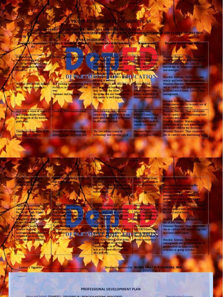 Assignment-No.2 Professional Development Plan-Edgardo C. Caguisano Jr ...