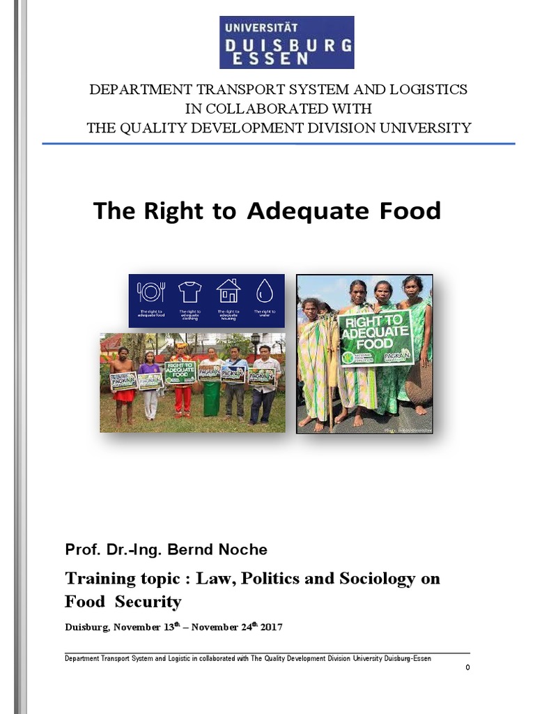 The Right To Adequate Food | PDF | Food Security | Malnutrition