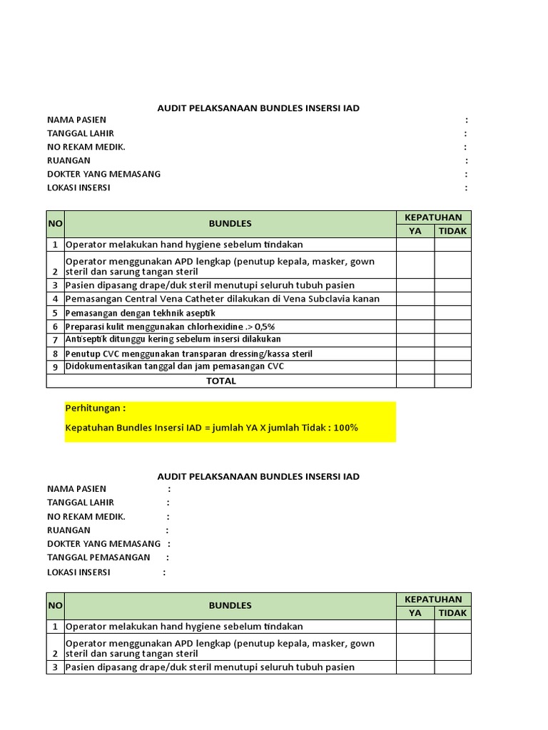 Form AUDIT Bundles IAD - Revisi | PDF