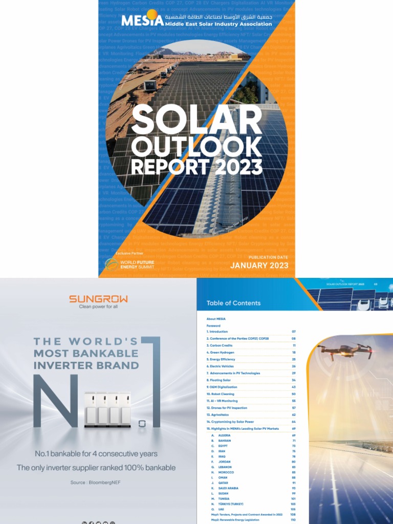 Mesia 2023 Annual Report PDF | PDF