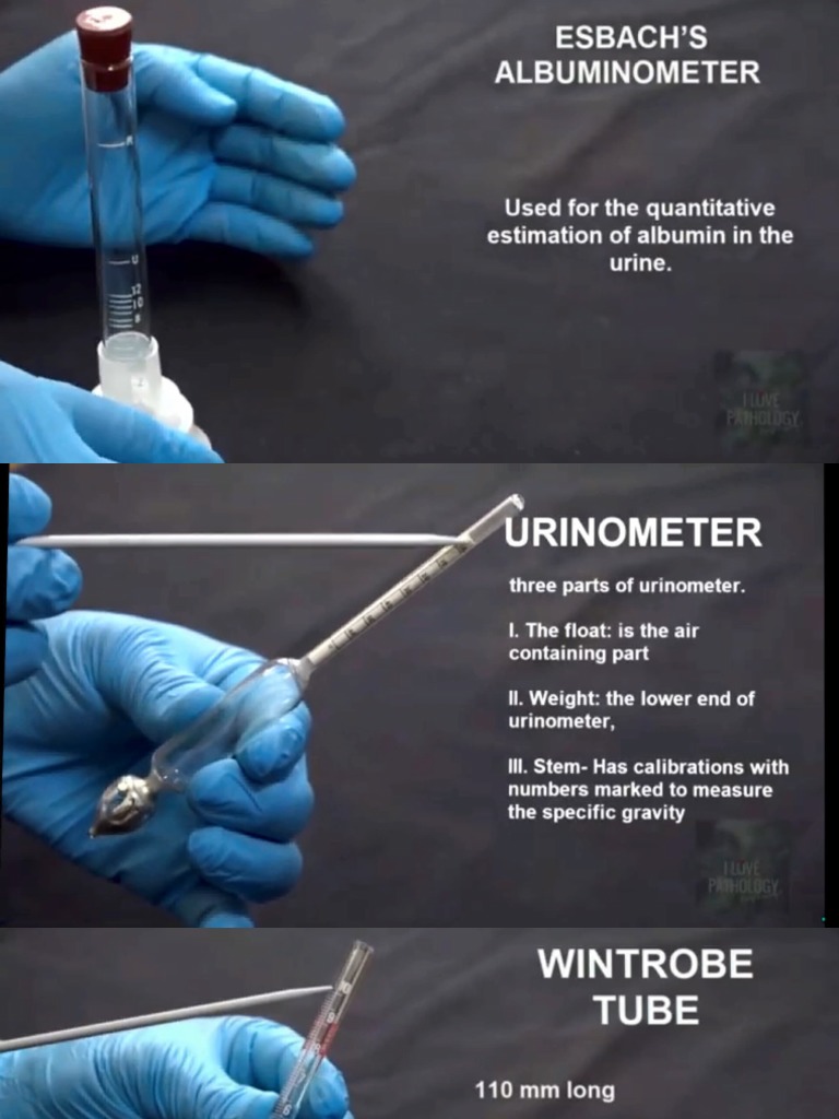 Patho Instruments PDF | PDF