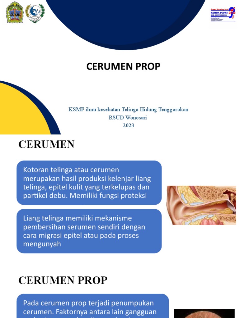 Cerumen Prop | PDF
