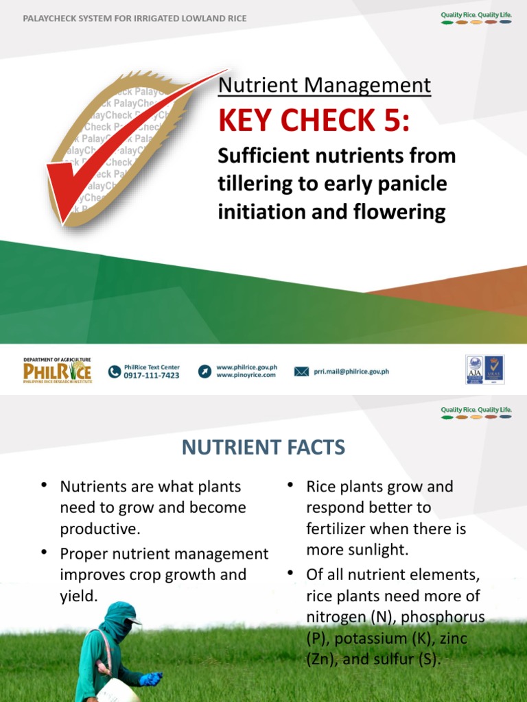 CR Key Check 5 - FINALdraft | Download Free PDF | Plant Nutrition ...