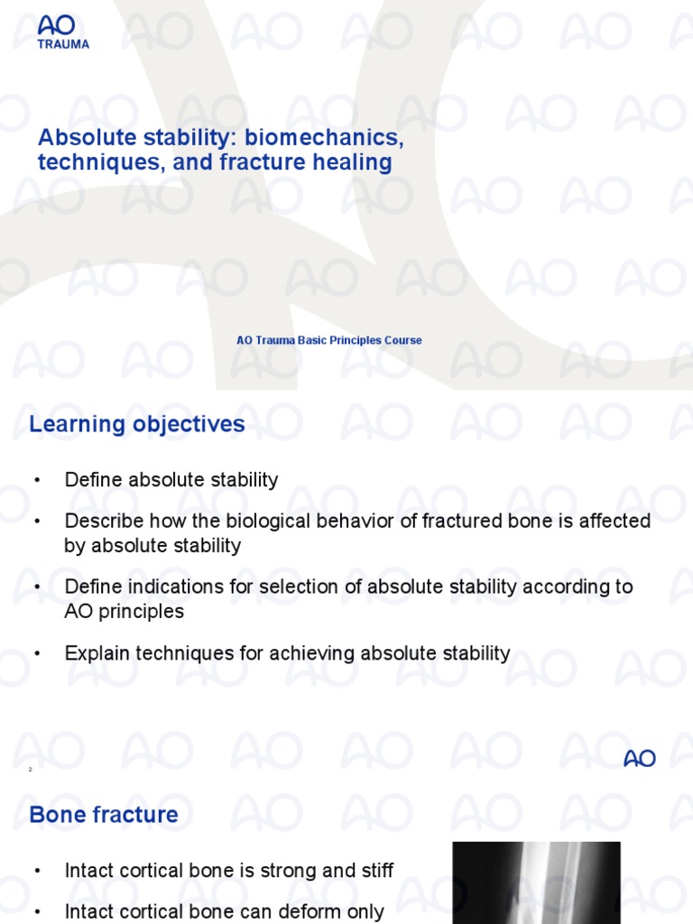 2 1 Absolute Stability Pdf Bone Healing