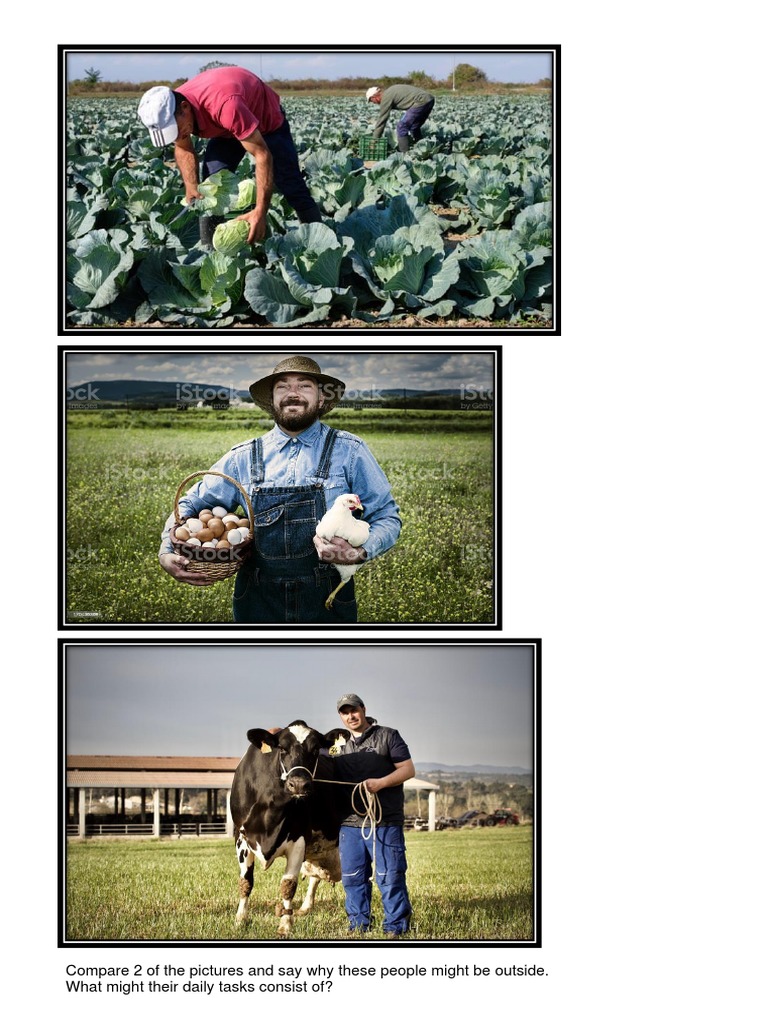 CAE Speaking, Pictures and Questions For Conversation | PDF