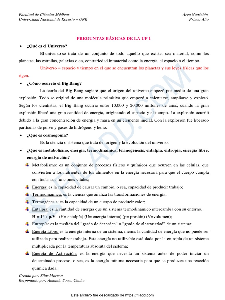 Preguntas Basicas NUTRICION | PDF | Digestión | Sistema digestivo humano