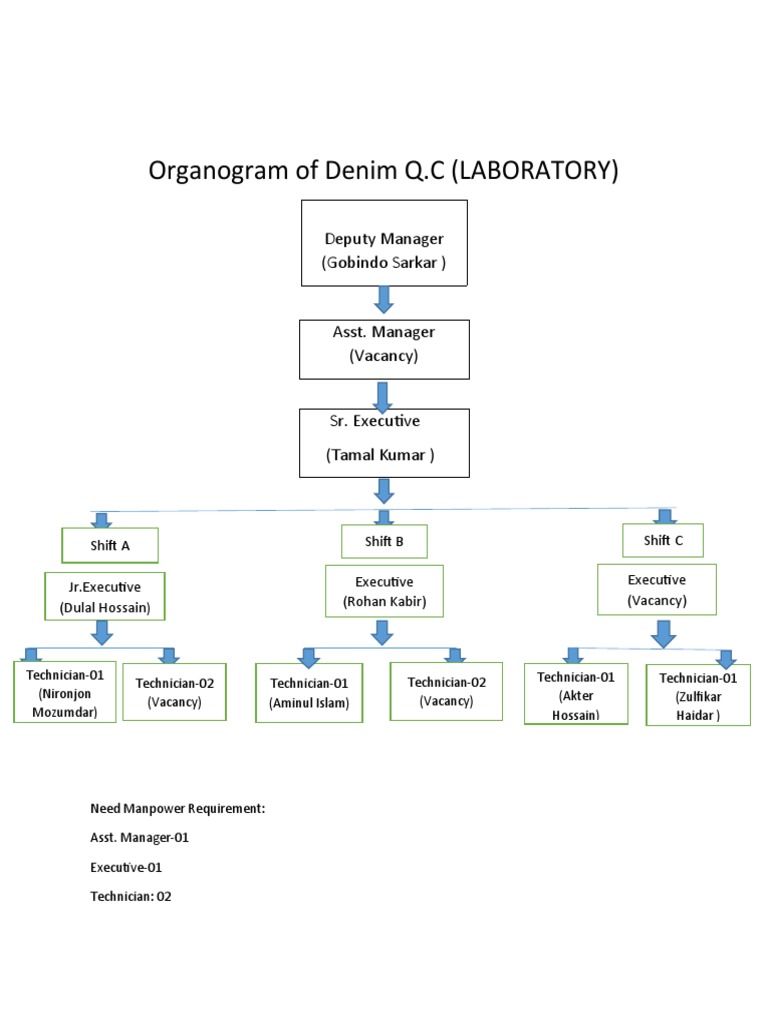 Organogram of Denim (LAB) - 2 | PDF
