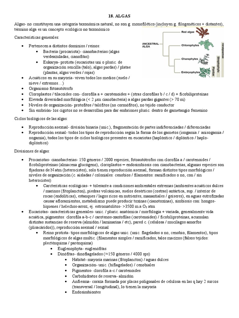 Características y Usos de las Algas | PDF | Algas | Cianobacterias