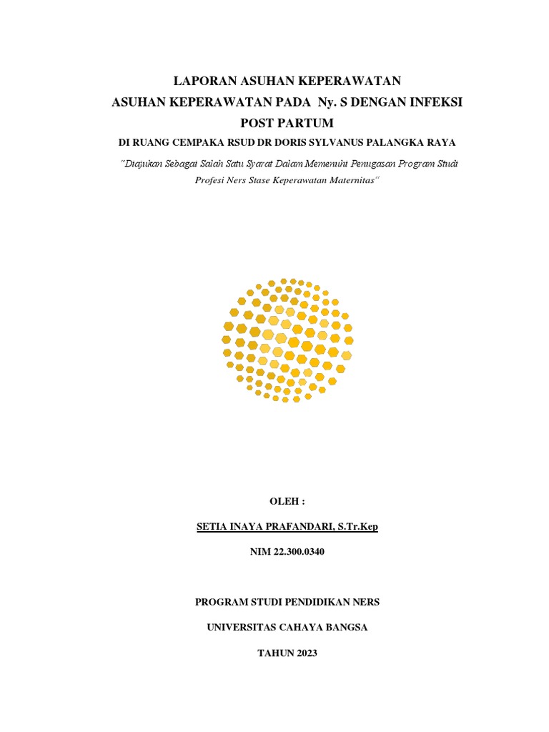 2askep Infeksi Post Partum Setia Inaya | PDF